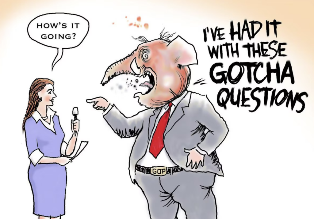 Political Dictionary - An essential guide to the language of power