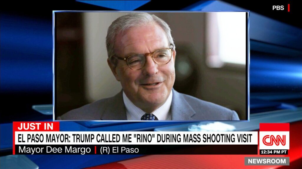 RINO - Political Dictionary