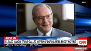 RINO - Political Dictionary