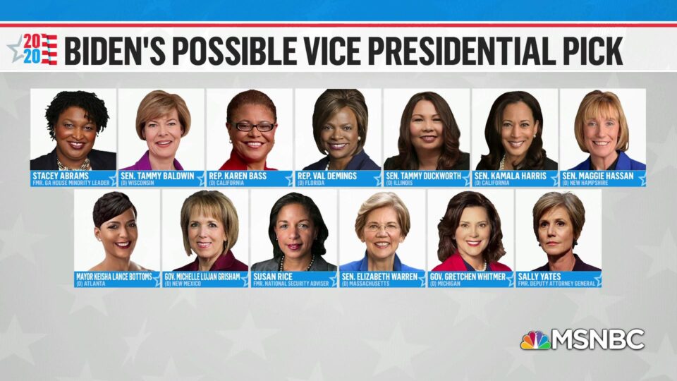 Political Dictionary - An essential guide to the language of power