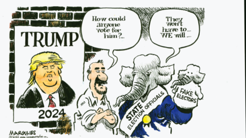 Fake Electors - Political Dictionary