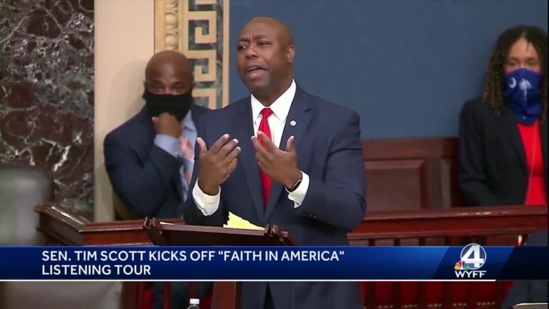 Political Dictionary - An essential guide to the language of power